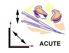 Kajal Work: Acute Angle