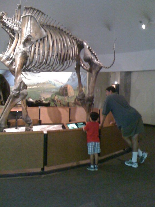 The Tulip Collector: Dinosaurs at La Brea Tar Pits 2011 - Nana, Papa ...