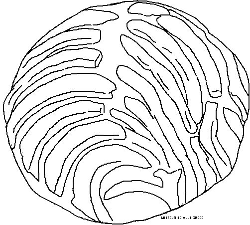 Conchas Bread Page Coloring Pages