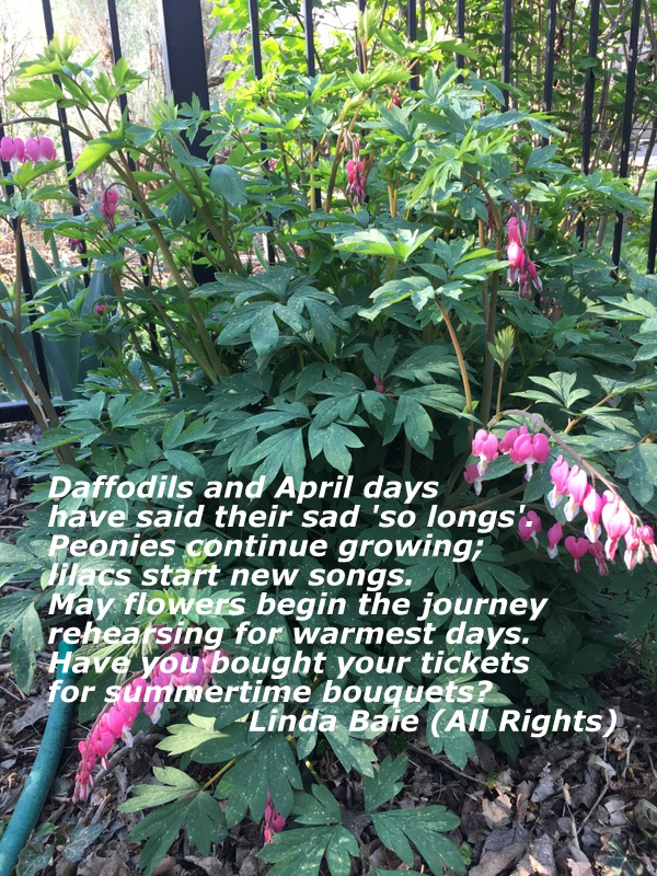 TeacherDance: Poetry Fridays - Flowers Blooming