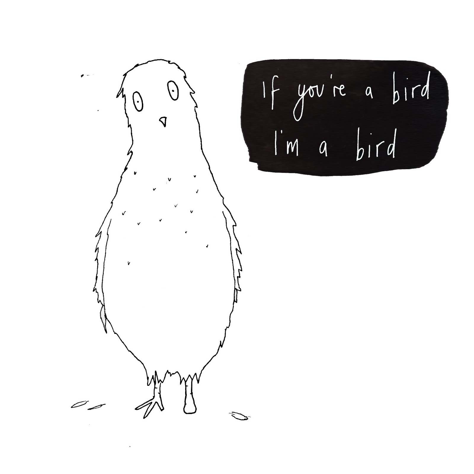 Fable & Fox: If you're a bird...I'm a bird