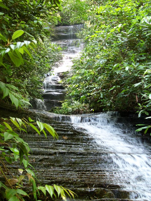 Where's Trevor: Angel Falls - Northern Georgia