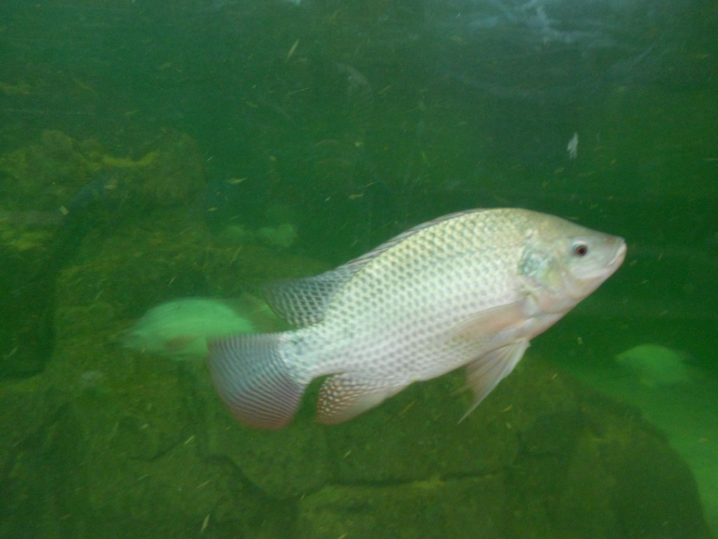 Snacking Squirrel: Calgary Part Two: Zoo