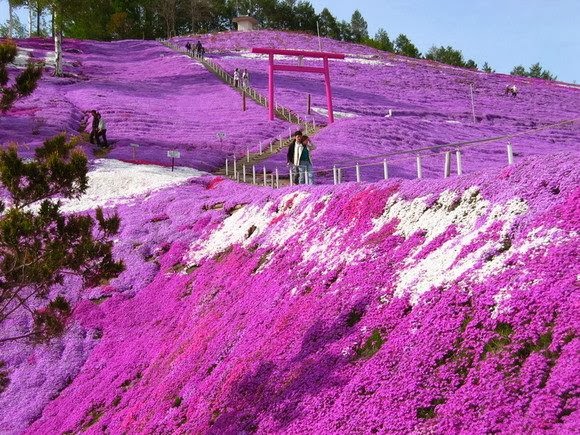 Keep Learning Forever: Kawachi Fuji Gardens