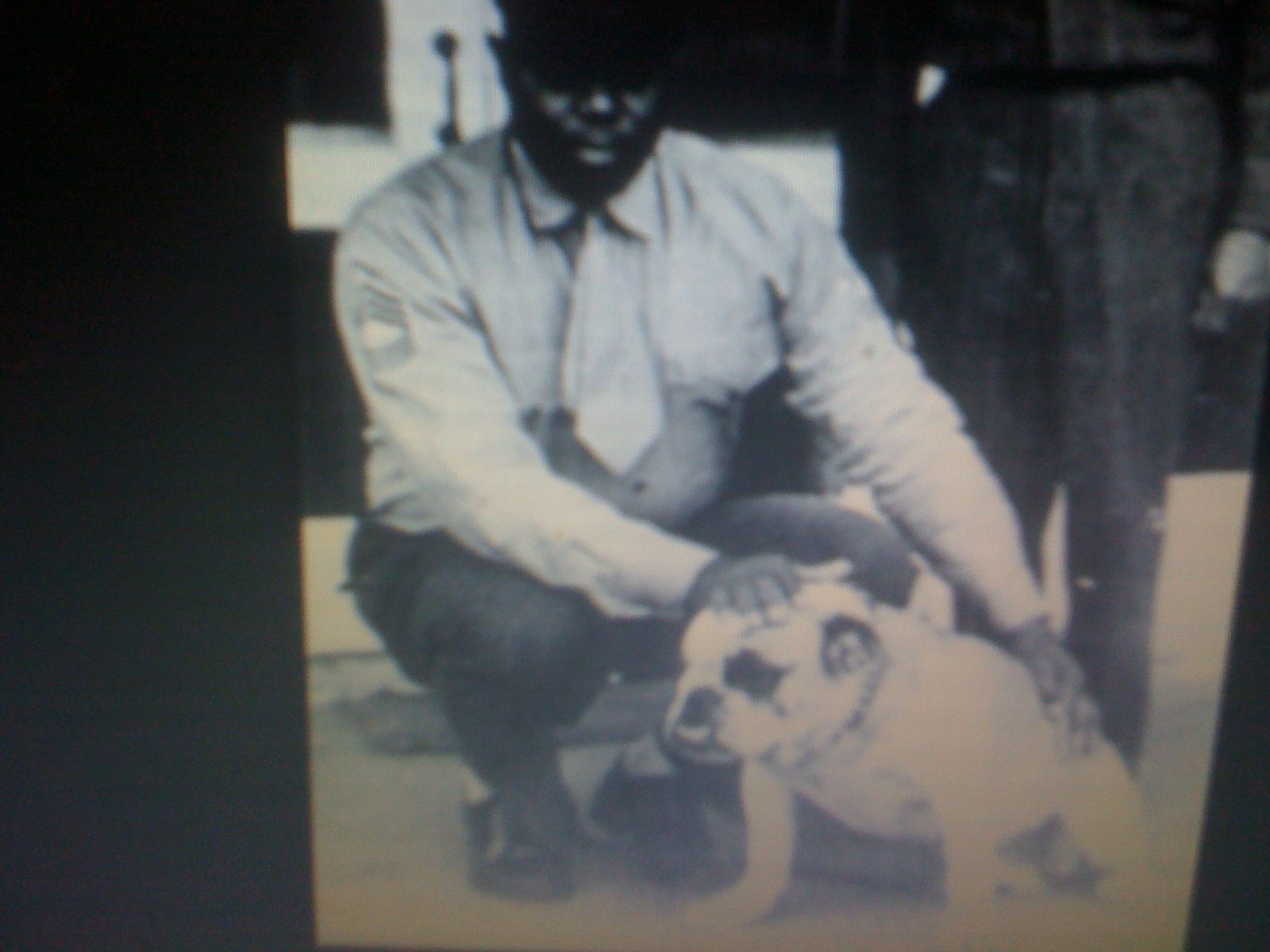 THE BLACK SOCIAL HISTORY:: BLACK SOCIAL HISTORY : AFRICAN AMERICAN ...