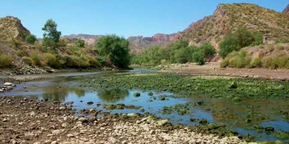 EL QUIJOTE VERDE: Estremecedora visión del cauce del Río Atuel (Mendoza ...