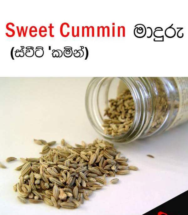 Sri Lankan Spices Names Sandy Foods Sri Lanka sri-lankan-spices-names-sandy-foods-sri-lanka