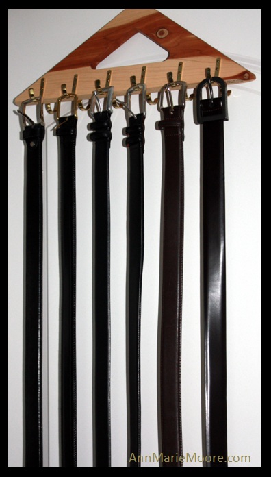 Picture Your World Organized & Easier: Organize your Belts