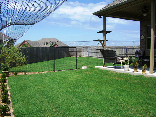 The PURRfect cat fence - AnimalCare