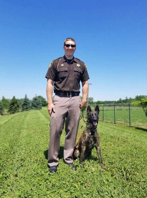 Kludde News: Police K9 Explosive and Weapons detection dog