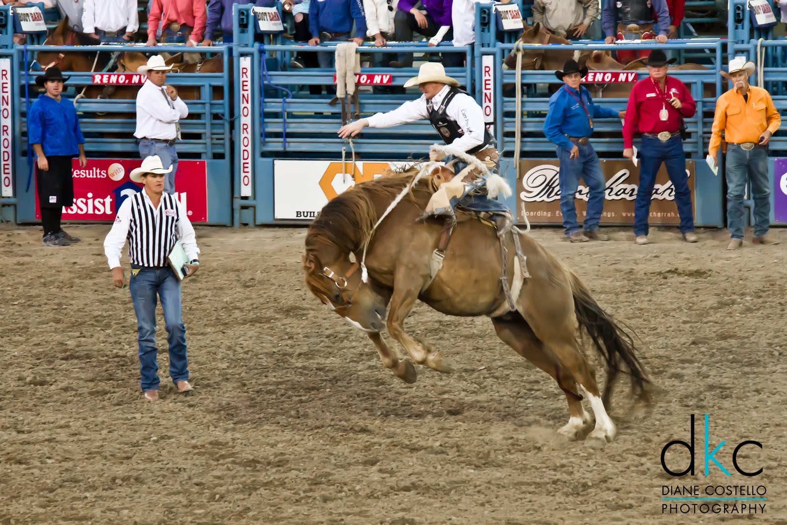 Diane K. Costello Photography: Reno Rodeo 2011