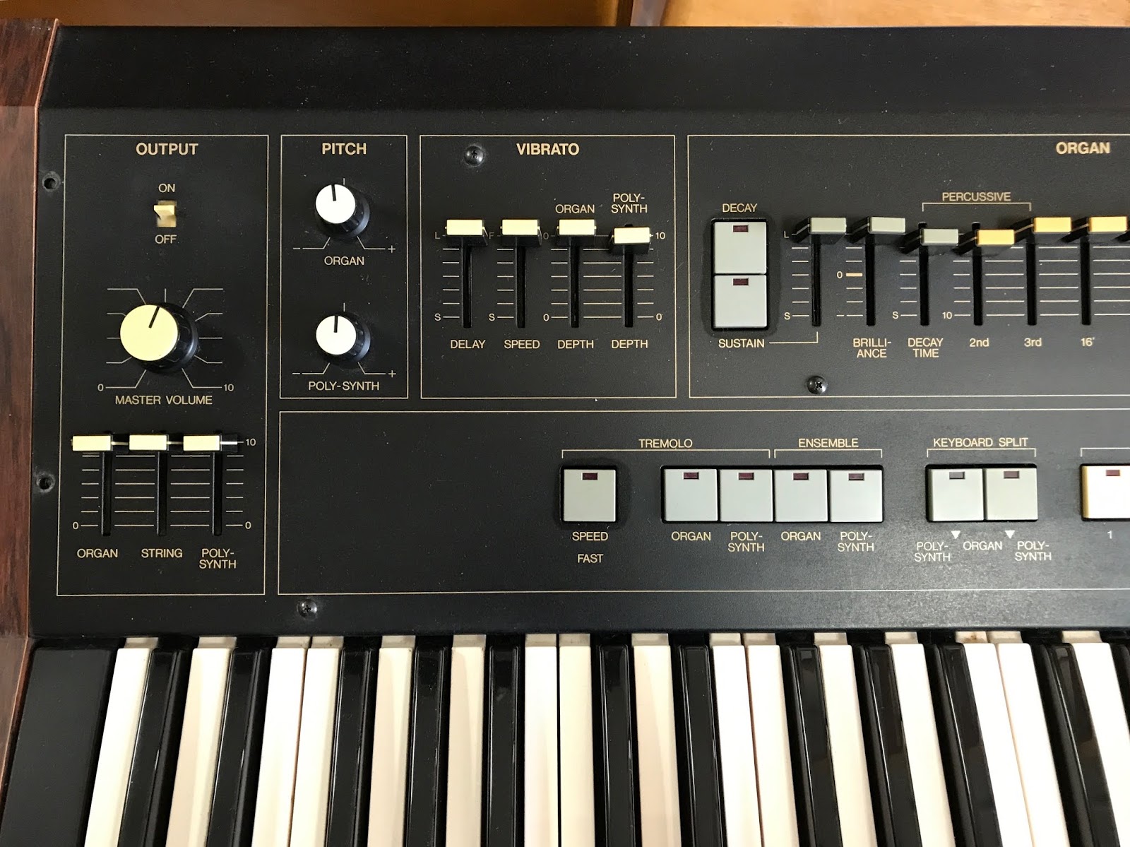 Yamaha SK20 (Part One - Cleaning)