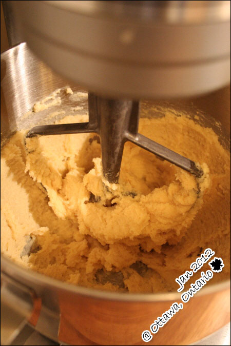 Heavenly Palate: [Chocolate sparkler] Rich chocolate cookies that stand out