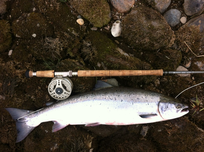 Salmon Fishing Scotland.: Salmon Fishing Scotland Summer Salmon Fly ...