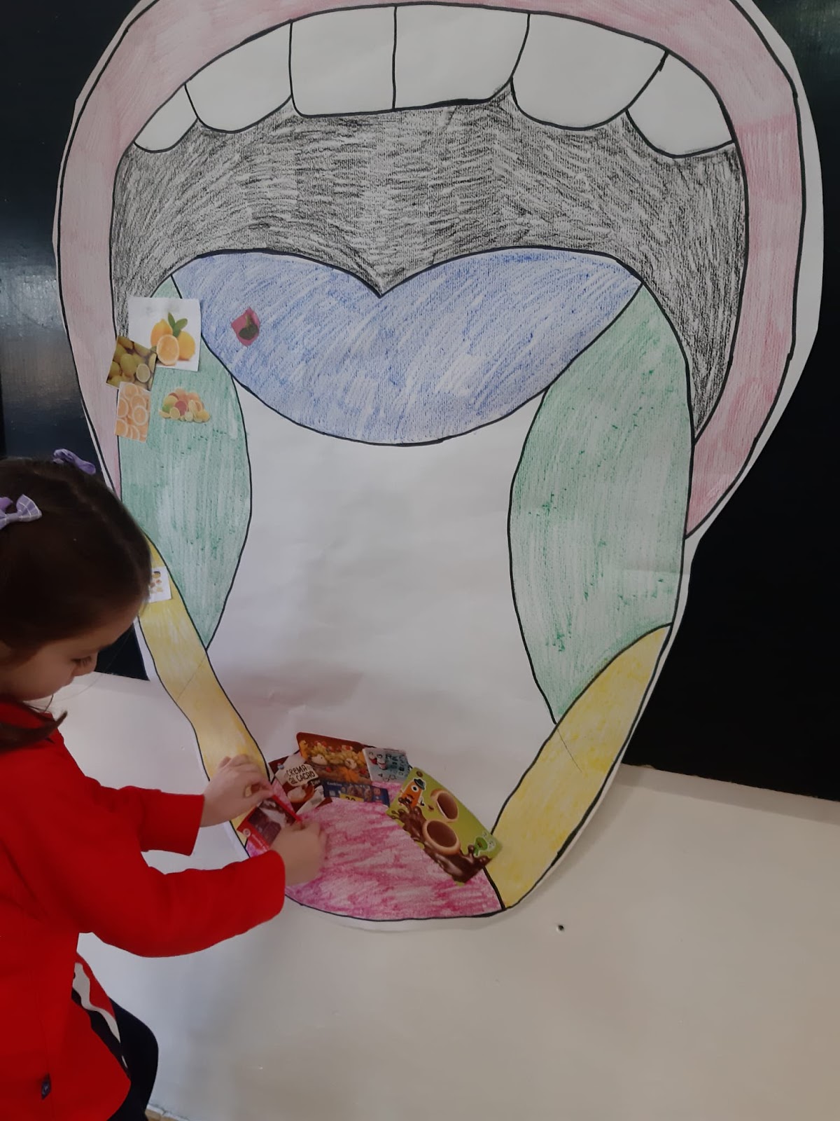 1º, 2º y 3º SANTA ANA MONZÓN: 1º de E. Primaria: LAS PAPILAS GUSTATIVAS