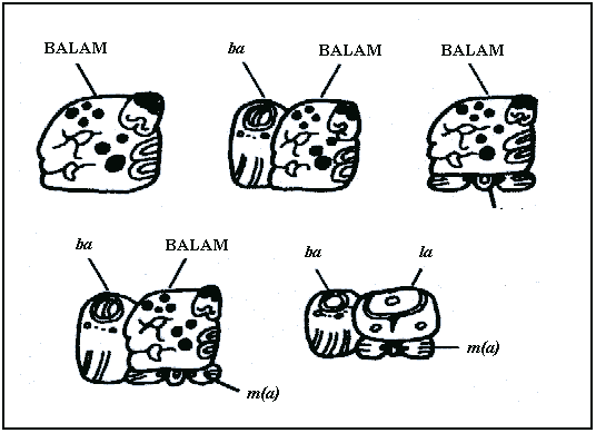 RED DE ESTRELLAS: ESCRITURA MAYA