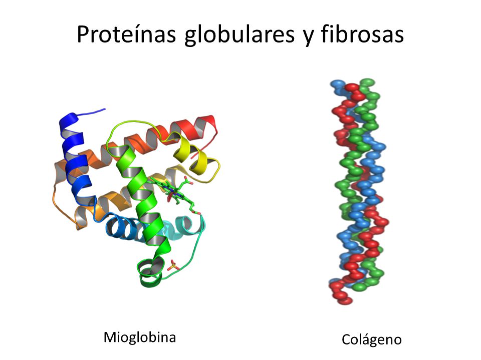 BIOLOGÍA 3º SECUNDARIA: Proteínas: clasificación