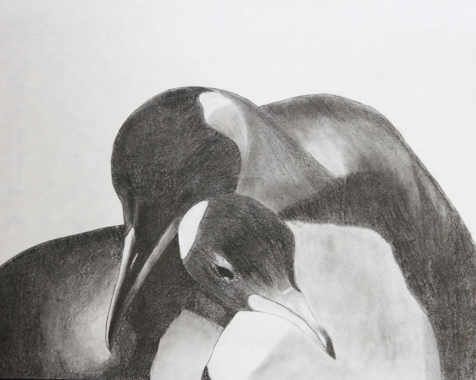 Student Art: Graphite Animals