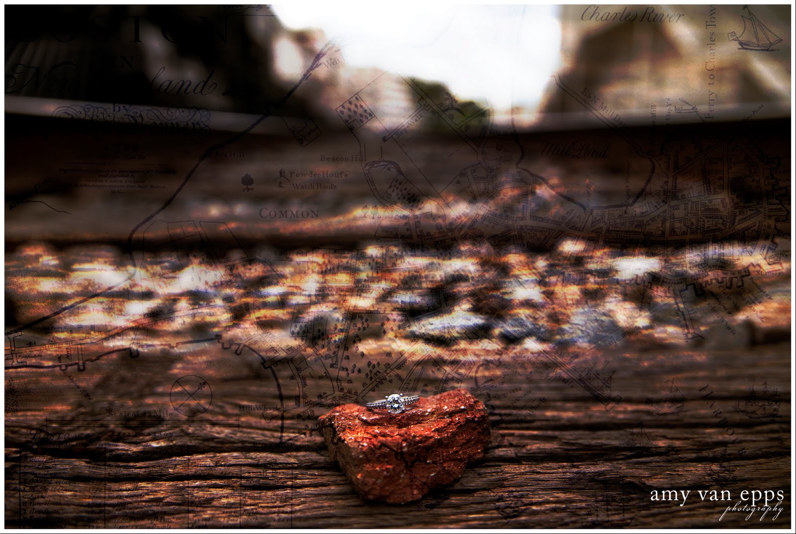 Central Florida Photographer - Amy Van Epps Photography