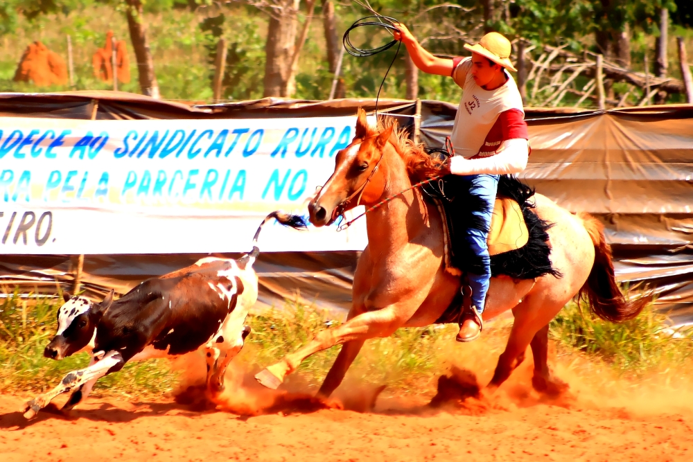 Nathalia Zandavalli: CONCURSO FOTOGRÁFICO CAVALGADAS BRASIL