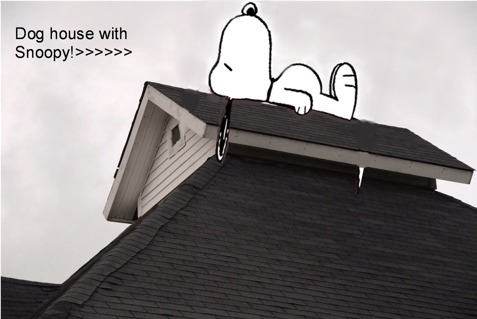 My Adventures On Windy Hill: Why I need a Snoopy on my Roof!