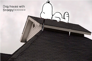 My Adventures On Windy Hill: Why I need a Snoopy on my Roof!