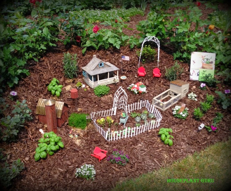 Houseplant Guru: Miniature Garden Wonderlands
