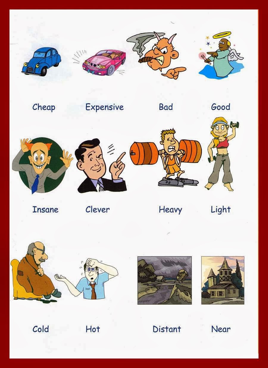 Yanet UNC PHYSICAL APPEARANCE ADJECTIVES yanet-unc-physical-appearance-adjectives