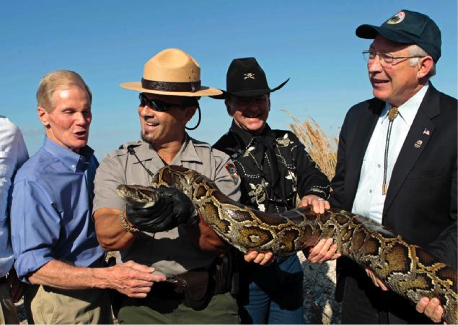 Our Herp Class: Burmese Python Challenge in Florida