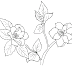 Camellia Coloring Pages and Printables