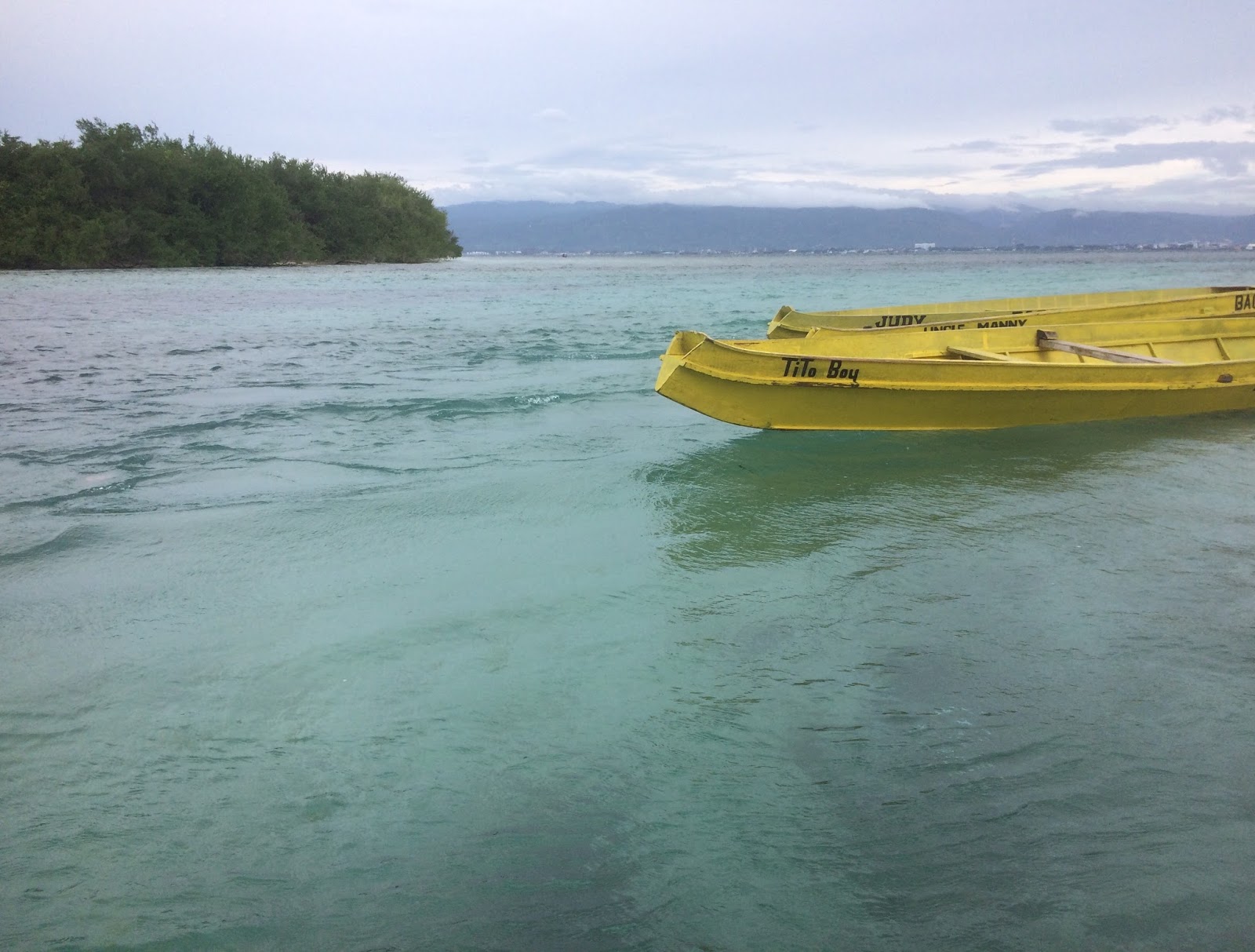 Sta. Cruz Island Mangrove-Lagoon & Stingless Jellyfish @ Sta. Cruz ...