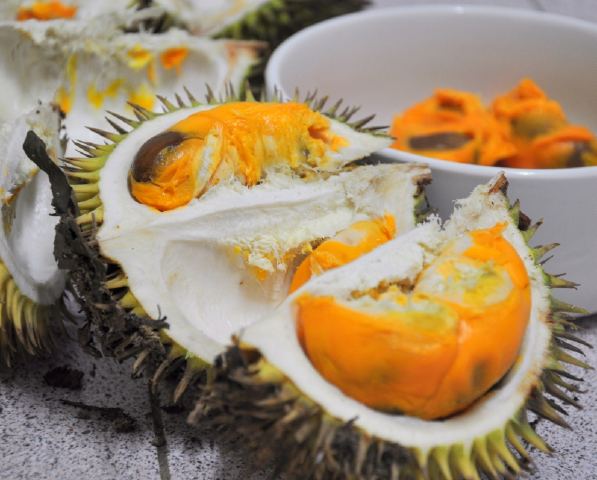 The Jungle Teacher: Exotic Fruit: Buah Isu