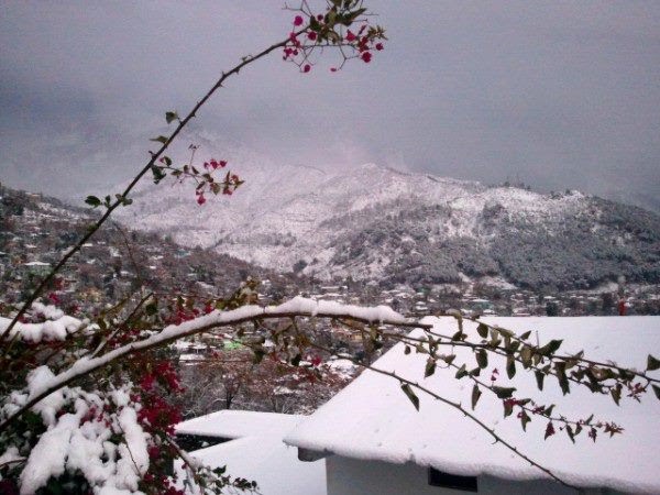 Holiday in Mcleodganj Dharamshala - Complete Travel Information: Snow ...