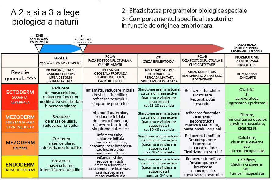 Guturaiul si raceala din perspectiva Noii Medicini Germanice - Jurnal ...