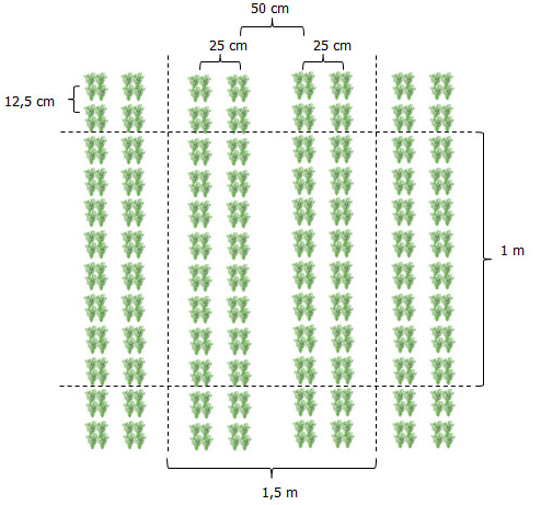 Meningkatkan hasil panen padi hingga 15 ton/ha dengan sistem tanam ...