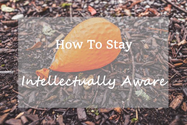 How To Stay Intellectually Aware In Everyday Life | Nomad Notebook
