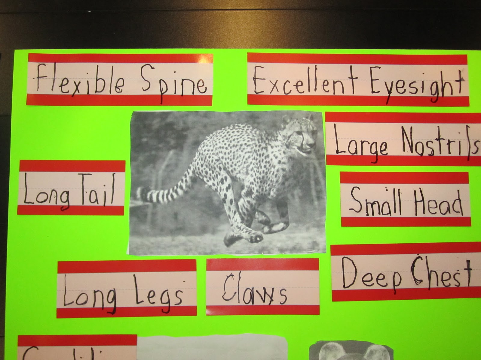 A Science Project in First Grade