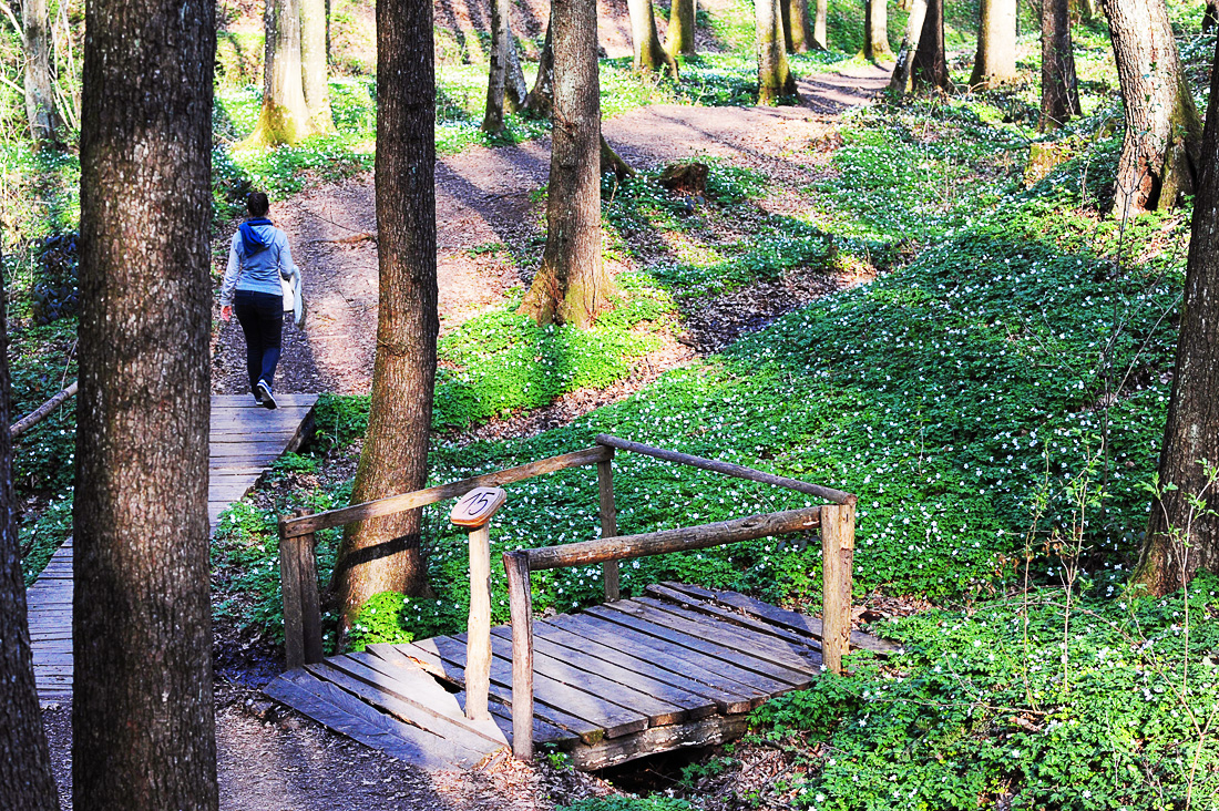 Introduction to Prekmurje region - Slovenia's hidden gem | World Map Duo