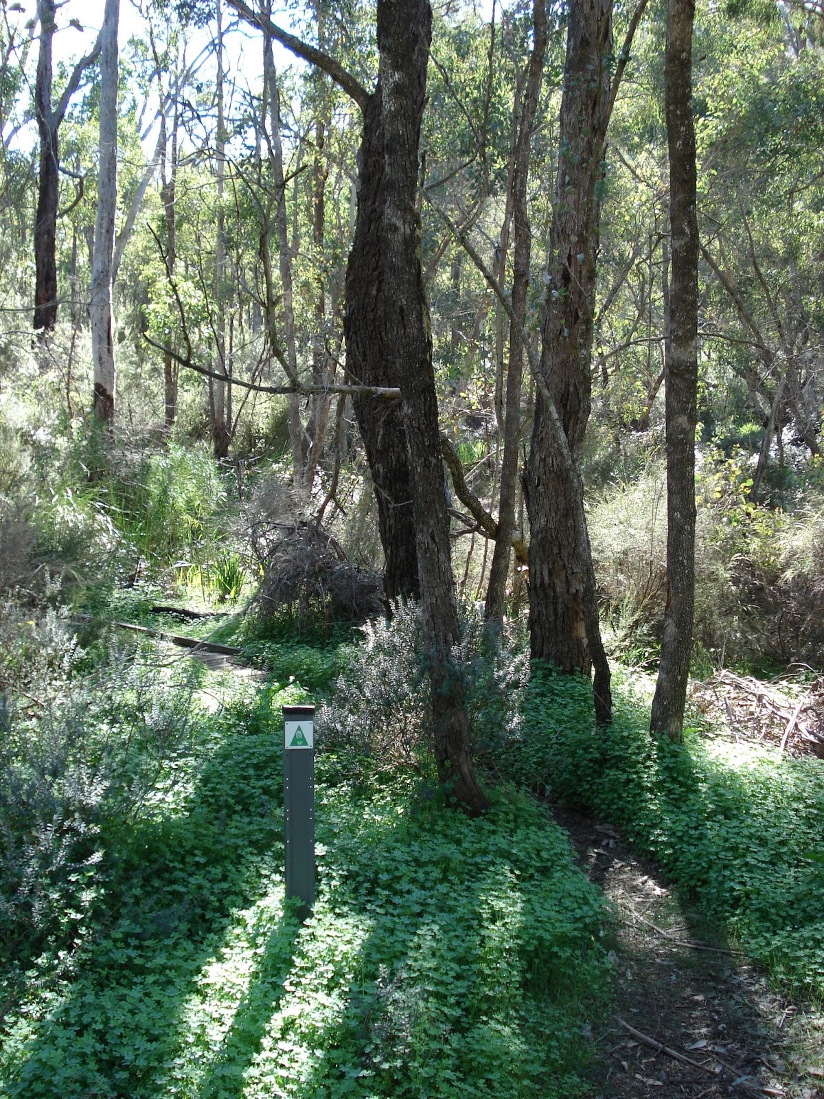 The next step on the trail: Kitty's Gorge Walk