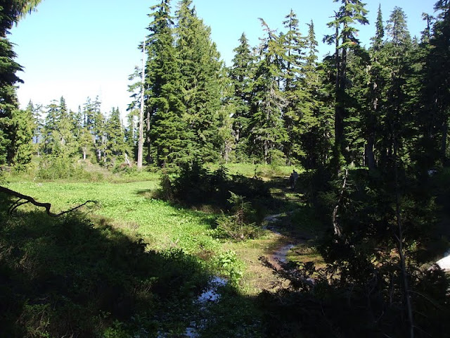 A Homeschool Mom's Hiking Blog: Peek-a-boo Lake ~ August 27th 2011