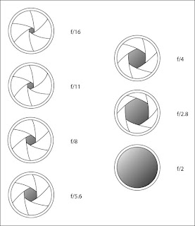 Digital Photography Basics: Understanding Aperture in Digital Photography