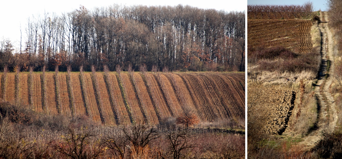 Putovanja, planinarenje i skijanje (Traveling, mountaineering and ...