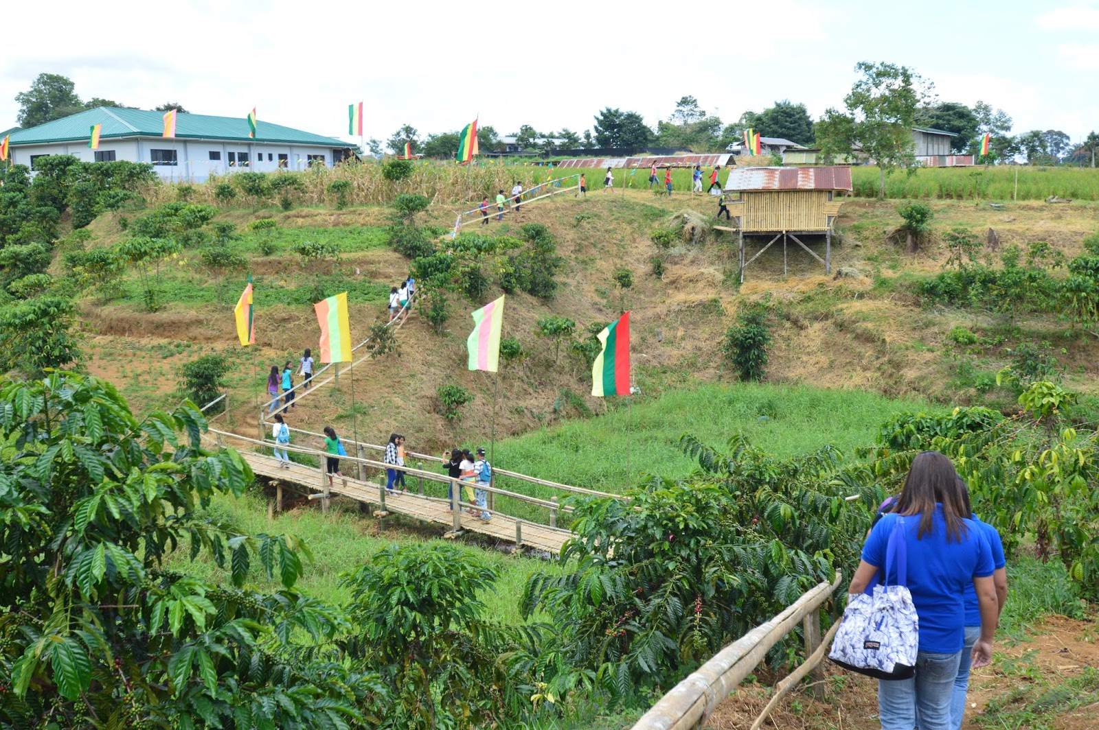 What's Up at DA10 Research Division: DA-10 Research Division/NOMIARC ...