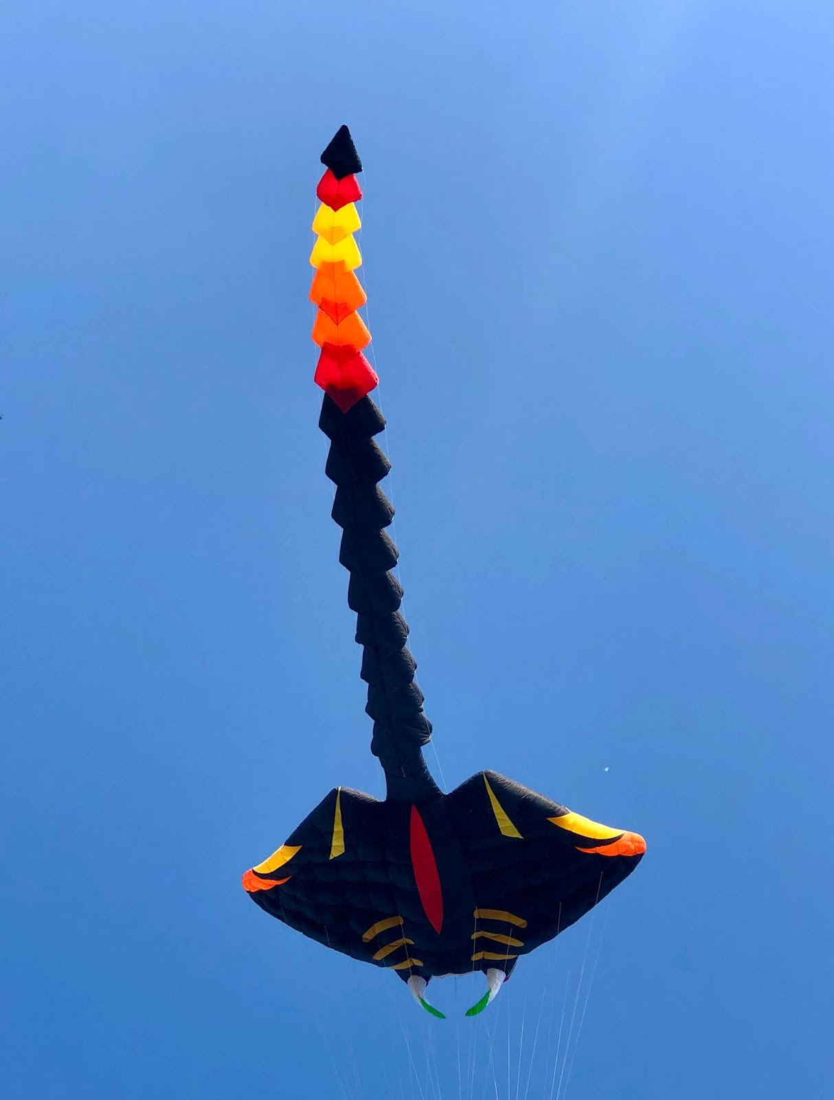 B-kites: Manta kite