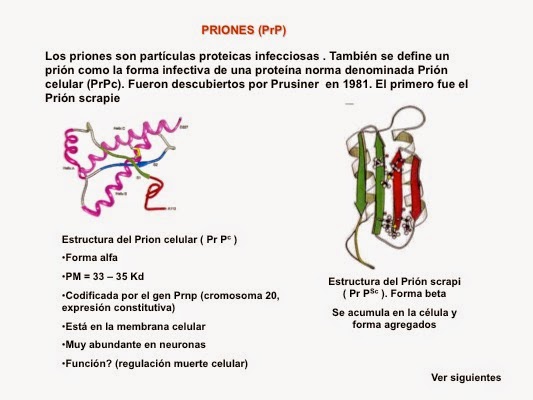 Blog de Carlos: QUÉ SON LOS PRIONES?/PRION DISEASES