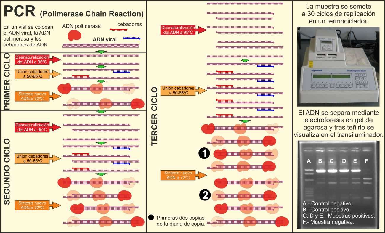 Homo agricola: febrero 2012