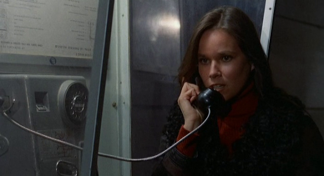 Zebradelic: Barbara Seagull in Diamonds