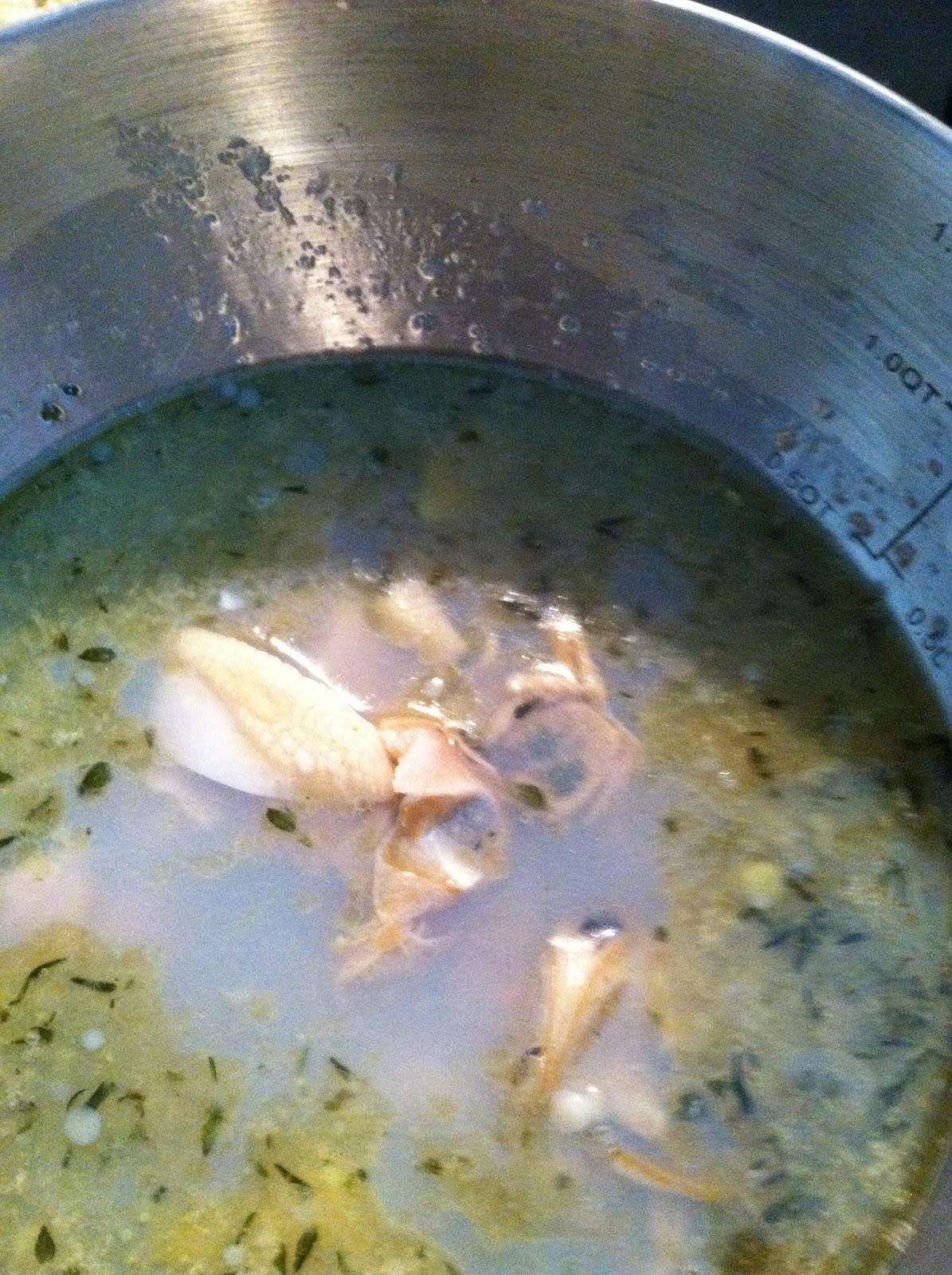 Outdoorsavages: From the Sea: The Incredible Edible.....Clam?