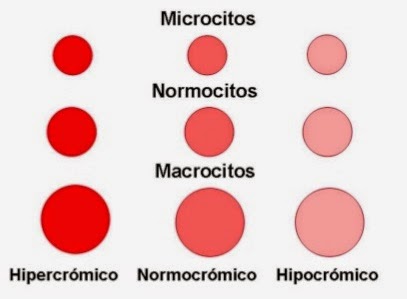 Atlas de hematologia: Anormalidades: Eritrocitarias