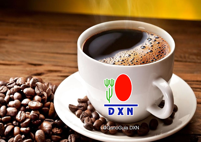 ¿Por qué Café con Ganoderma? - DXN
